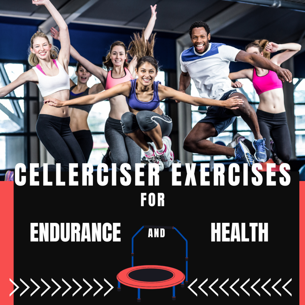 9 Best Cellerciser Exercises for Endurance And Health - My Fitness Routines