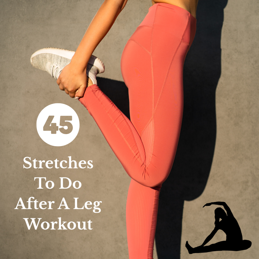 Stretch After Leg Workout & Why It’s So Important - My Fitness Routines